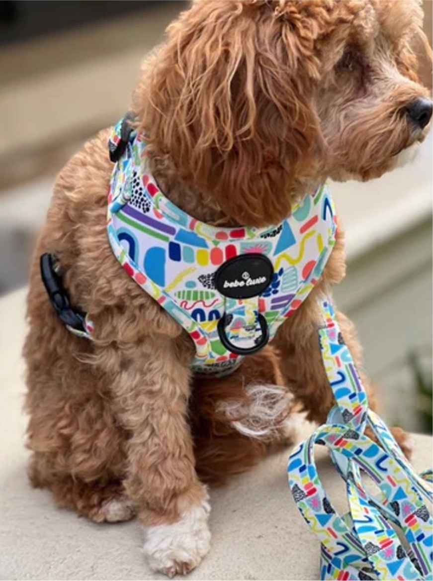 Dog Leash | Squiggle Cracker | Bebe Luxe – bebeluxe